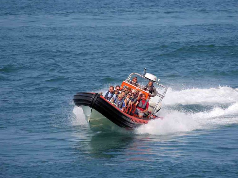 Lundy Experience Boat Trip | Ilfracombe Sea Safari