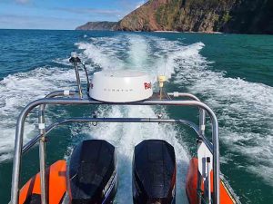 Lundy Experience Boat Trip | Ilfracombe Sea Safari