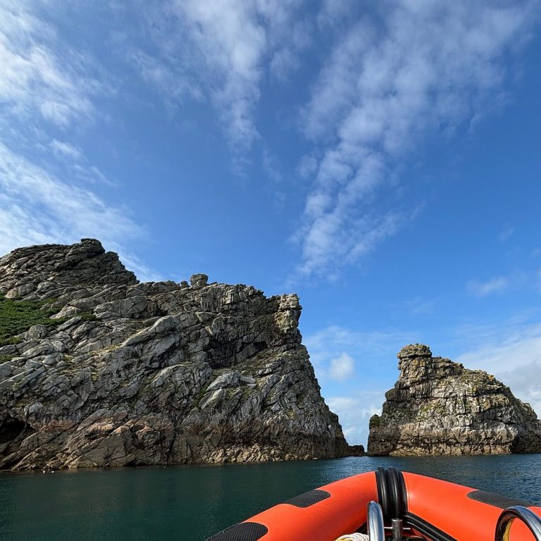 Lundy Experience Boat Trip | Ilfracombe Sea Safari